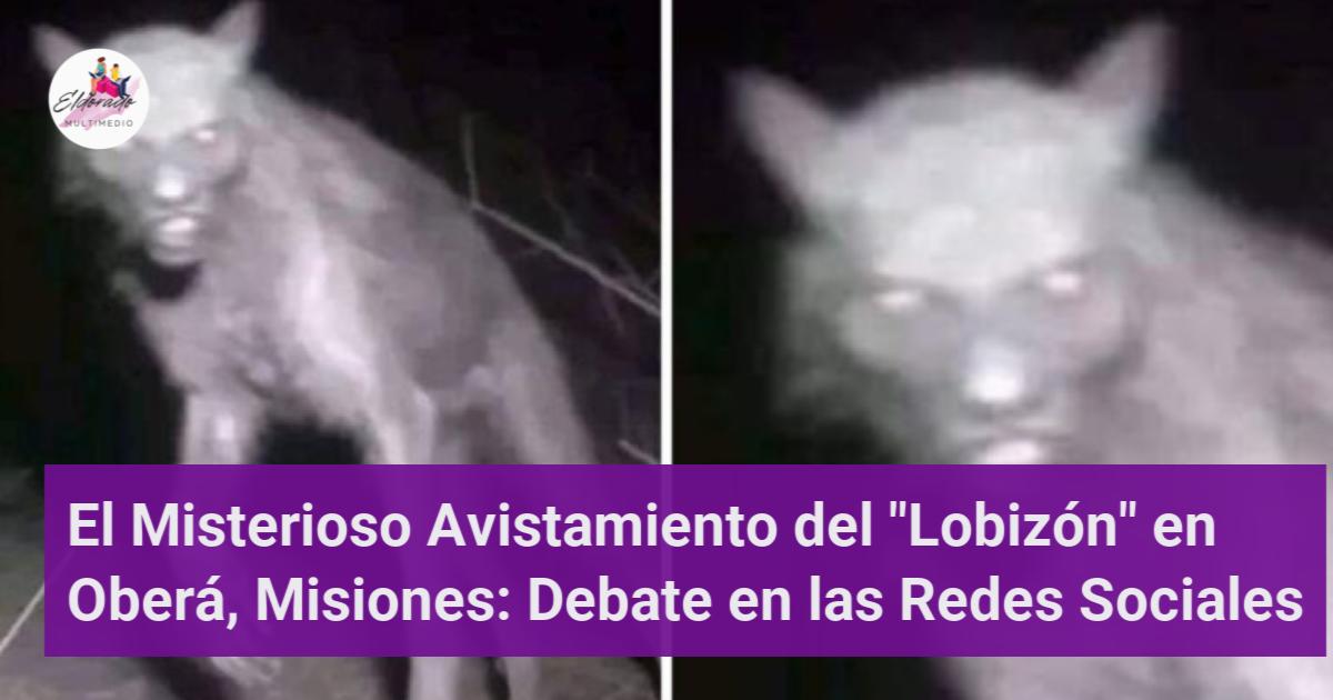 El Misterioso Avistamiento del "Lobizón" en Oberá, Misiones: Debate en ...