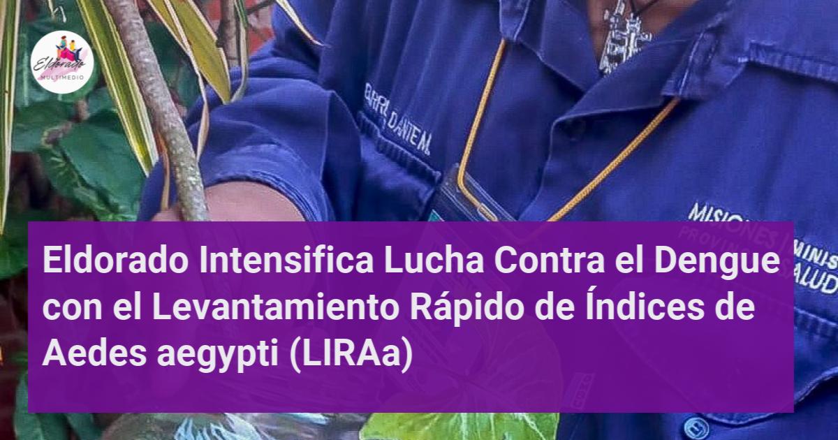 Eldorado Intensifica Lucha Contra el Dengue con el Levantamiento Rápido de Índices de Aedes ...
